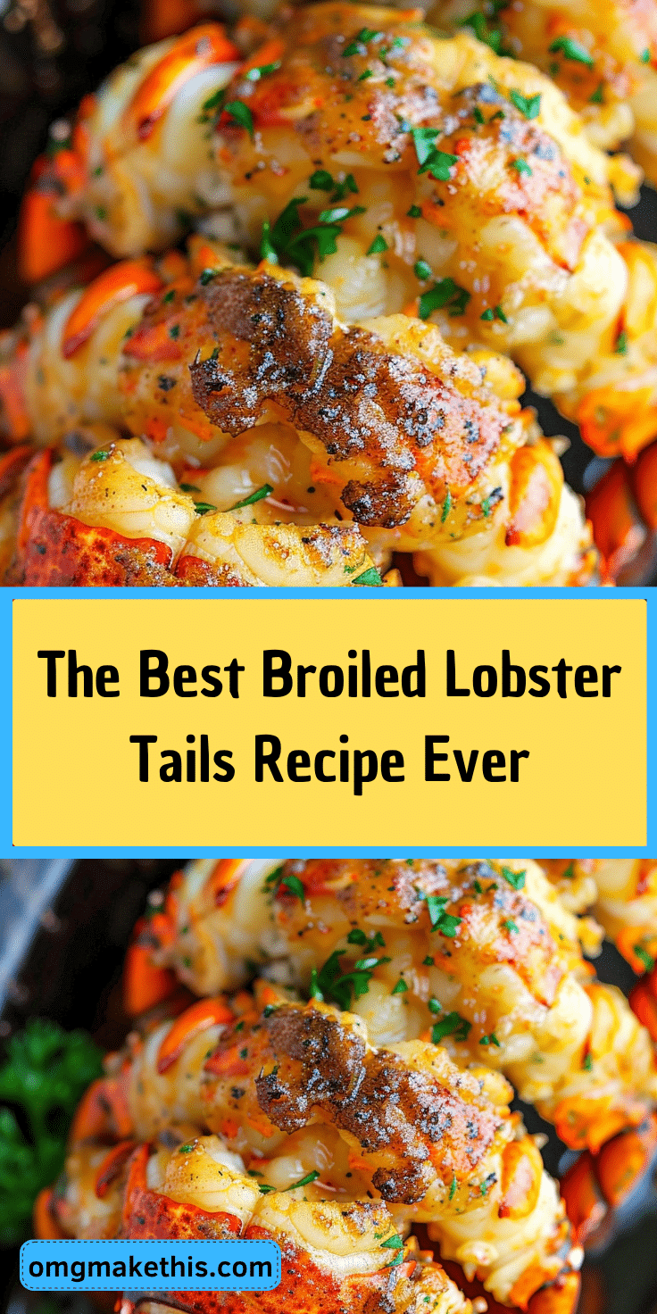 The Best Broiled Lobster Tails Ever | Omg Make This