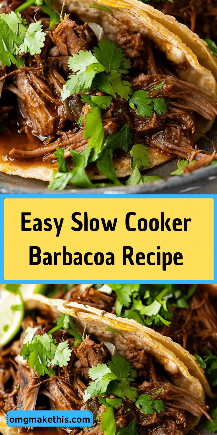 Slow Cooker Barbacoa Recipe | Omg Make This