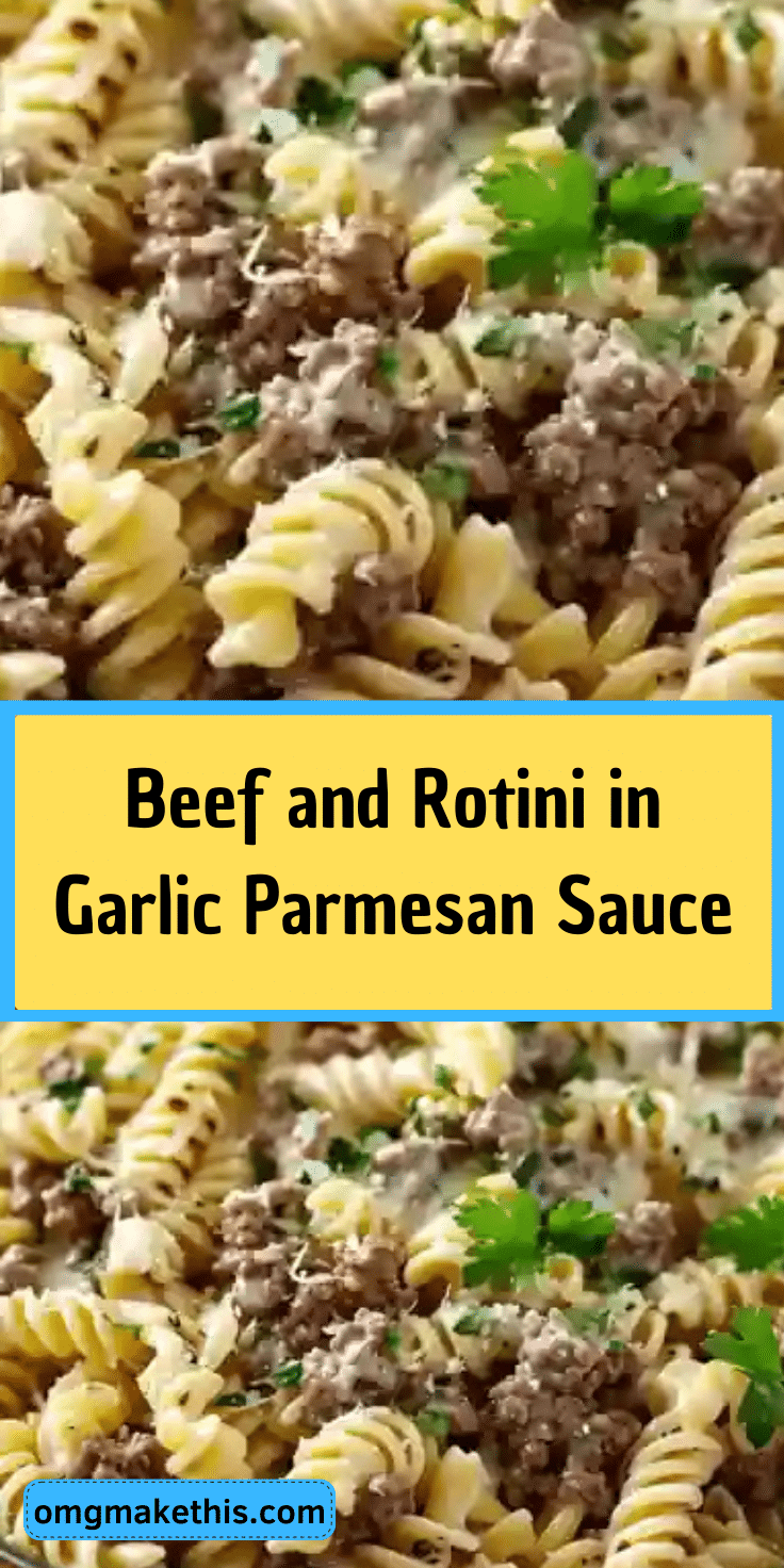 Beef and Rotini in Garlic Parmesan Sauce | Omg Make This